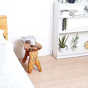 Brefhome Wooden Tree Stump Plant Stand Stool Side Table,Small Natural Wood Bench,Indoor/Outdoor Use