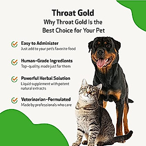 Pet Wellbeing Throat Gold for Dogs & Cats - Vet-Formulated - Soothes Throat Discomfort, Hoarseness, Leash Strain, Occasional Cough - Natural Herbal Supplement 4 oz (118 ml)