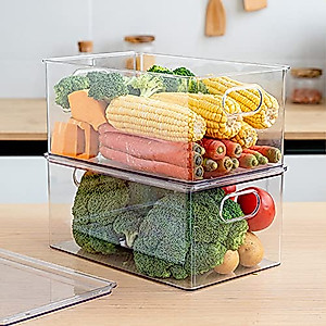 Refrigerator Organizer Bins with Lid, 8 Pack Plastic Freezer Organizer Bins for Freezer, Kitchen, Cabinets - Clear Pantry Organization and Storage Bins Fridge Organizers by GOLIYEAN (8 Pack)