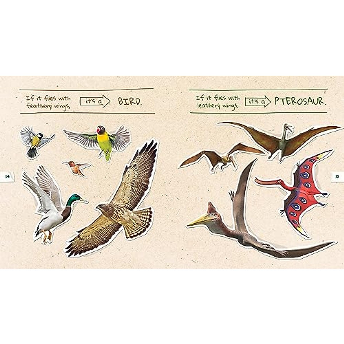 Dino Dana: Dino Field Guide: Pterosaurs and Other Prehistoric Creatures! (Dinosaurs for Kids, Science Book for Kids, Fossils, Prehistoric)