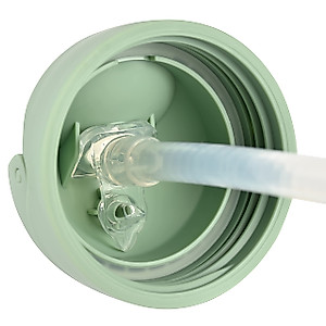 BEABA Straw Sippy Cup, Sippy Cup with Removable Handles, Sippy Cup with Straw, Baby Straw Cup, Toddler Cup, Toddler Straw Cups, 8+ Months, 10 oz, Sage