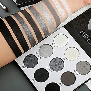 Afflano Gray Eyeshadow Palette Grey Black White Silver, Blendable Smokey Eye Eyeshadow Palette, for SFX Skull Goth Look Halloween Makeup Palette, Long Lasting Dark Eye Shadow Pallet - Panda