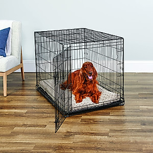New World Newly Enhanced Single Door New World Dog Crate, Includes Leak-Proof Pan, Floor Protecting Feet, & New Patented Features, 42 Inch