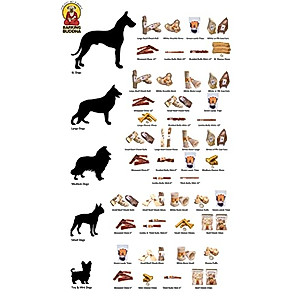 Barking Buddha 6 Inch Jumbo Bully Sticks for Dogs - Premium Fully Digestible, Odor Free 100% All Natural Tasty Beef Pizzle Chew Treats (Pack of 5)