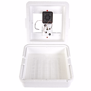 Little Giant® Digital Circulated Air Incubator | 41 Eggs | Egg Incubator with Fan, Temperature and Humidity Control | Hatching Eggs