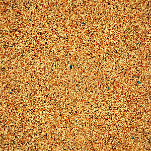 Volkman Avian Science Super Finch Bird Food 4lbs