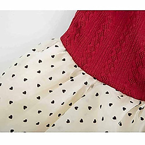 Dog Knitted Sweater Dress Lace Tulle Tutu Outfit Skirt with Heart Pattern for Small Medium Girl Dogs Christmas Birthday Party (Red, S)