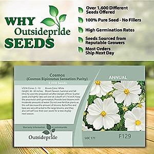 Outsidepride Cosmos Bipinnatus Purity Garden Cut Flower Seeds - 1000 Seeds