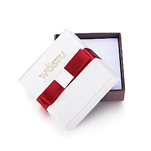 WOSTU Fashion Geometry Dangle Earrings Women's Drop Earrings Sterling Silver Tassel Asymmetrical Earrings, Metal, Cubic Zirconia