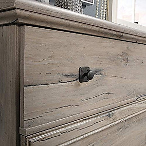 Sauder Palladia 4-Drawer Chest, Split Oak Finish