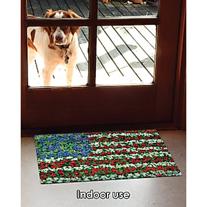 Toland Home Garden 800051 Field of Glory Summer Door Mat 18x30 Inch 4th of July Outdoor Doormat for Entryway Indoor Entrance
