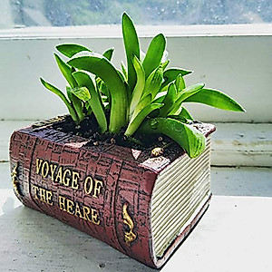 Aygrün Succulent Pots, Cute Resin Animal Flower Planters Decorations, 4 Inches, Creative Pot for Sempervivum with Drainage, Gift for Women, Man, Office and Garden Decor Book, 5.5″x4.0″x2.2″