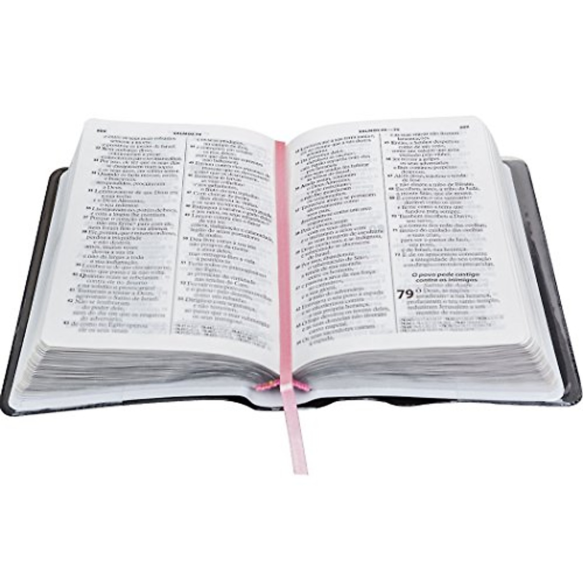 Santa Bíblia Letra Grande / Large Print (Portuguese Edition)