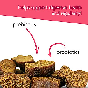 VetriScience Probiotic Everyday for Cats, Digestive Support Supplement, Duck Flavor, 60 Bite Sized Chews - Probiotics and Prebiotics, GI and Immune Support