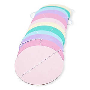 Chloe Elizabeth Circle Dots Paper Party Garland Streamer Backdrop (10 Feet Long) - Unicorn Pastel