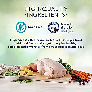 Blue Buffalo Freedom Grain Free Natural Indoor Kitten Dry Cat Food, Chicken 5-lb