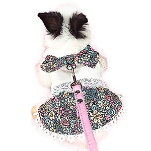 Anelekor Rabbit Lace Skirt with Bowknot Squirrel Harness and Leash Set Cat Princess Dress Small Animals Clothes Puppy Vest Walking for Dwarf Kitten Ferret Guinea Pig Mini Dog (Small)