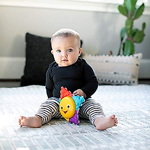 Baby Einstein Star Bright Symphony Plush Musical Take-Along Toy, Ages Newborn + (Pack of 1)