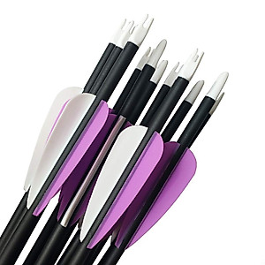 12 Pcs 30 Inch Archery Carbon Arrows 500 Spine Hunting Practice Target Carbon Arrows Shaft with 100 Grain Replaceable Tips for Archery Compound & Recurve & Traditional Bow (Purple Arrow)