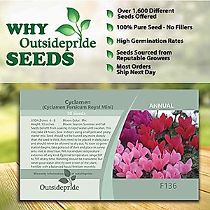 Outsidepride Cyclamen Royal Mini Garden Flower Seed Mix for Outdoor Containers or Indoor House Plants - 20 Seeds