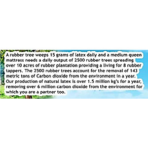 100% Natural Latex Mattress Topper - Soft - 3" Thick, King Mattress Topper