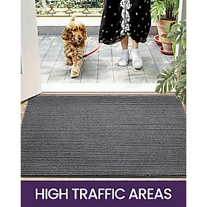 DEXI Door Mat Entryway Doormat Front Entrance Non-Slip Low Profile Washable for Inside Entry 19.5"x31.5",Grey