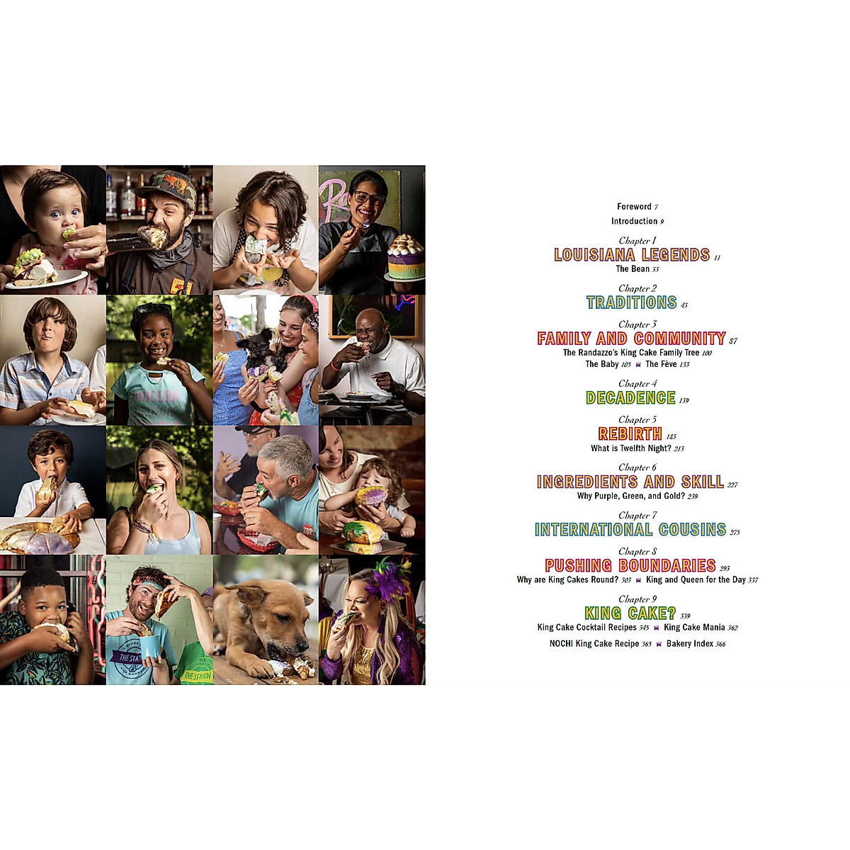 The Big Book of King Cake