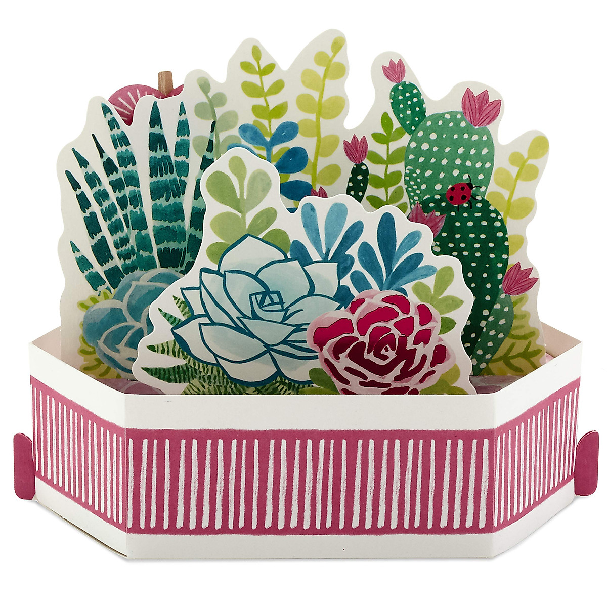 Hallmark Pop Up Birthday Card for Mom (Displayable Succulents and Flowers)