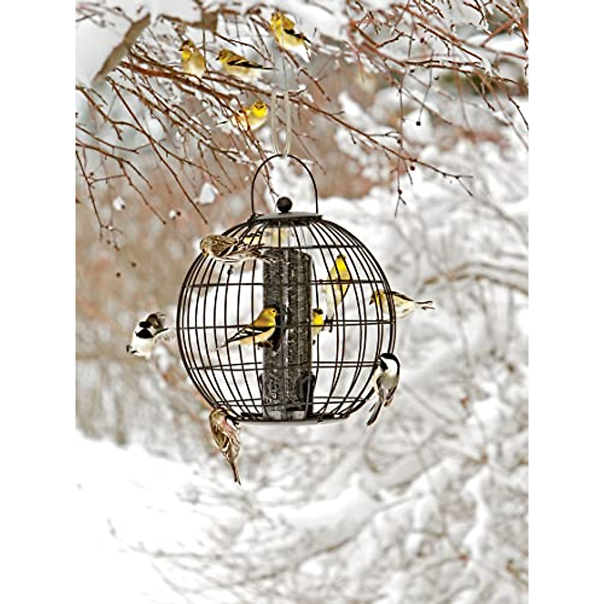 Gardeners Supply Company Globe Cage Bird Feeder | Sturdy and Squirrel Proof Outdoor Garden Hanging Hummingbird Feeder with Mixed Seeds Container | Best for Finches Nuthatches and Other Small Birds