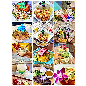 Sunne Tropical OrchidClub USA Loose Bloom Fresh Orchid Flower Head DIY Lei, food & drink decoration (100 PURPLE)