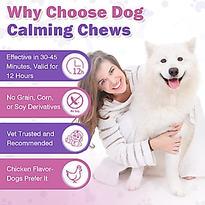 Hemp Calming Chews for Dogs 200pc Dog Calming Treat and Bites with Hemp Oil - Anxiety and Stress Relief Treats for Dogs Puppy Melatonin Sleep Aid Calm Dog with Noise,Thunder,Barking,Separation,Chewing