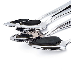 JUCOXO Grapefruit Spoons Set, 4 Pieces 6.1 inch Stainless Steel Half Serrated Citrus Fruit Vintage Dessert Spoons Gift for Kitchen