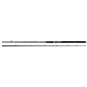 Fishing Rod Beefstick Surf Rod.Sections= 2 Line Wt. = 17-40