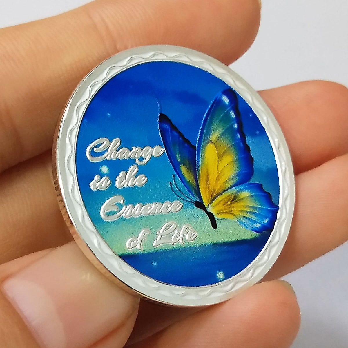 Butterfly Sobriety Chip - Change is The Essence of Life - AA Medallion Coin Recovery Anniversary Token Gift