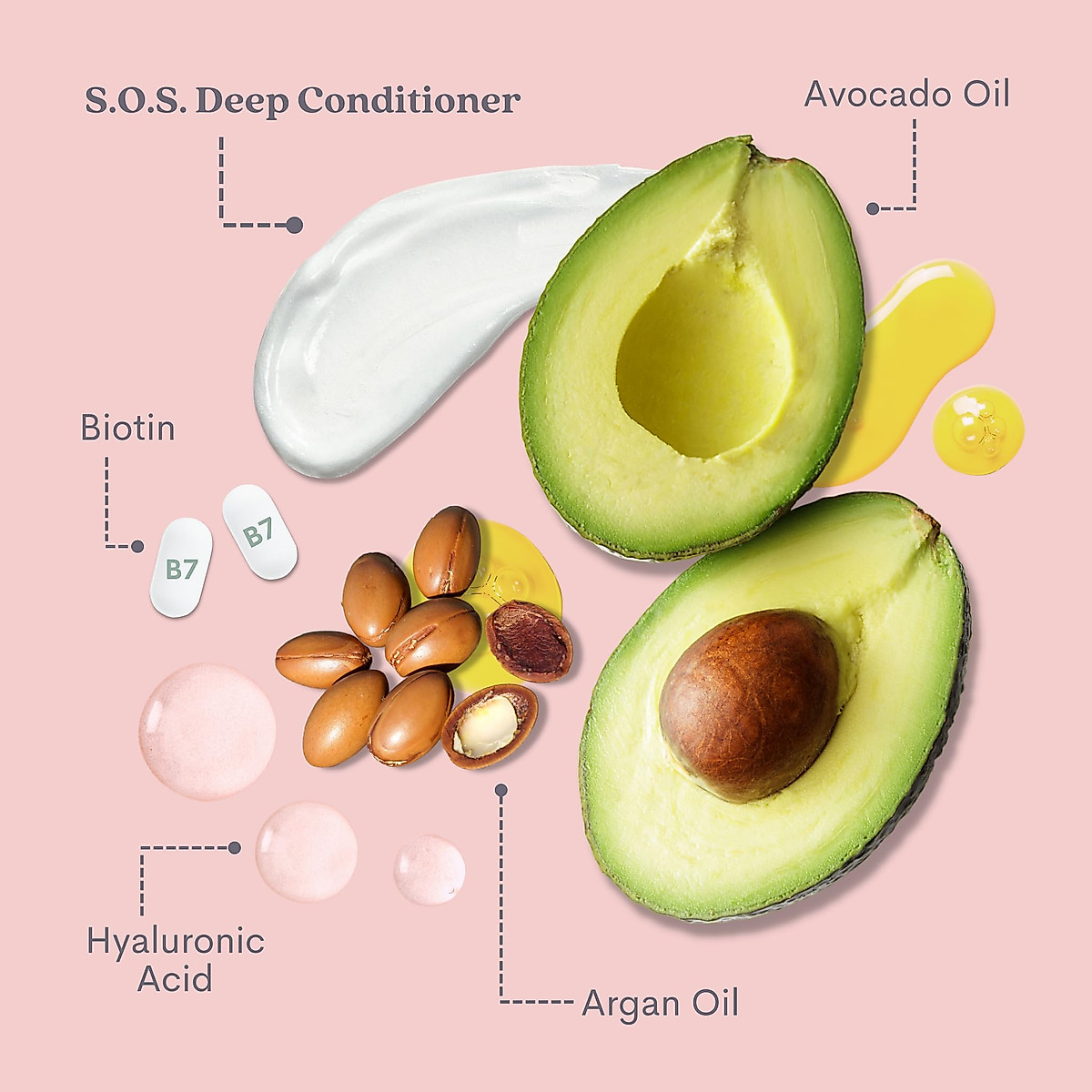 Pallure Hydrating Bond Conditioner To Support Thicker, Voluminous, Fuller Looking Hair, Infused with Hyaluronic Acid, Biotin, Avocado and Rosemary Oil (10.14 Fl Oz)