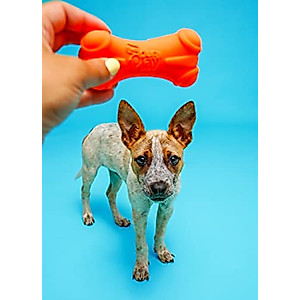 Hartz Dura Play Bacon Scented Bone Dog Toy - Small ( Colors may vary )