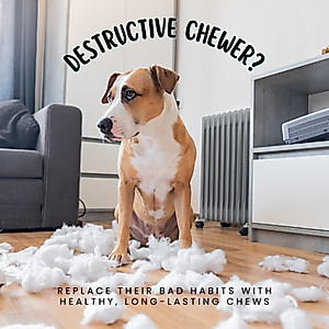 hotspot pets Split Elk Antlers for Dogs - 4-5 Inch Long Dog Chews,(3 Pack) Naturally Shed Elk Antler Bone for Medium Breed Aggressive Chewers - Made in USA - No Chemicals or Preservatives