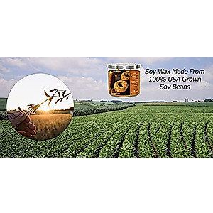 Warm Apple Cider Donut + Cinnamon Sugar | Large 3 Wick Highly Scented Soy Wax Scented Fall Candles | Fall Home Decor | USA Made 14 oz + Decorative Snuffer Lid | Candles for Men Gifts for Women