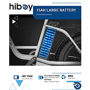 Hiboy Electric Bike x2(Black x1, White x1), 500W Motor (9600W Peak), 720WH Removable Battery, 25MPH Top Speed, 20"x4.0" Fat Tire E-Bike