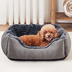 INVENHO Small Dog Bed for Small Medium Large Dogs, Rectangle Washable Dog Bed, Orthopedic Dog Sofa Bed, Durable Plush Pet Bed, Soft Calming Sleeping Puppy Bed with Anti-Slip Bottom S(20"x19"x6")
