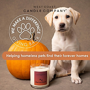 Pet Friendly Candle | Pet Safe Candle | All Natural Clean Burning Soy Candle | Pet Odor Eliminator | Dog & Cat Safe Candle | Air Freshening Scented Candles | 4 oz (Home for The Howlidays)