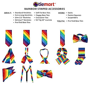 tiemart Striped Tie (Rainbow)