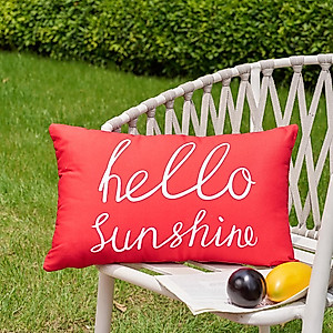 DFXSZ Outdoor Pillow Covers 12x20 Inch Set of 2 Hello Sunshine Decor Red Waterproof Throw Pillow Covers Summer Outdoor Waterproof Pillow Covers Decor for Patio Funiture Garden Sofa Couch 021A