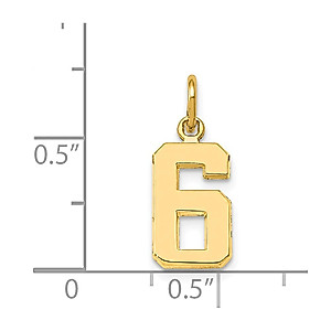 Solid 14k Yellow Gold Casted Small Number 6 Charm Pendant - 20mm x 7mm