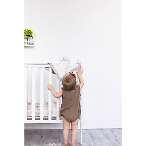 Pearhead Soft Cloud Lovey Snuggle Blanket, Newborn Infant and Toddler Security Toy, Stuffed Animal Plush Lovie for Baby Girl or Boy, White and Gray