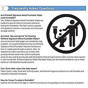 Kirkland Signature Moist Flushable Wipes, 632 Wipes