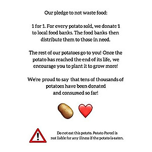 Potato Birthday Bundle - Gift Your Loved ones thier face on a real potato. Includes a Surprise Gift Box. As seen on Shark Tank!