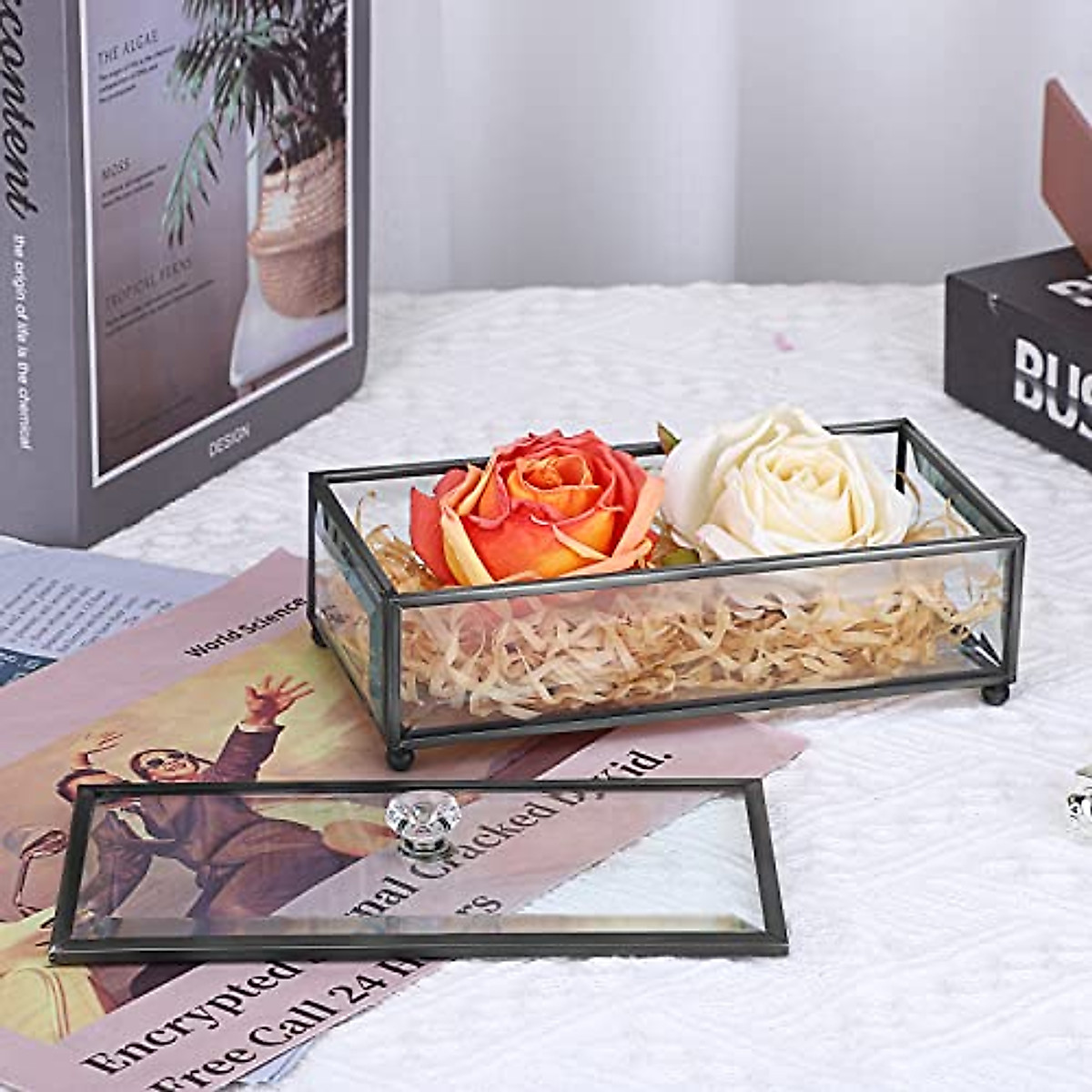 JUXYES Clear Glass Jewelry Box With Lid, Beveled Glass Keepsake Box Transparent Jewelry Organizer Box Modern Thickened Glass Vanity Decorative Box Personalized Countertop Trinket Box Organizer
