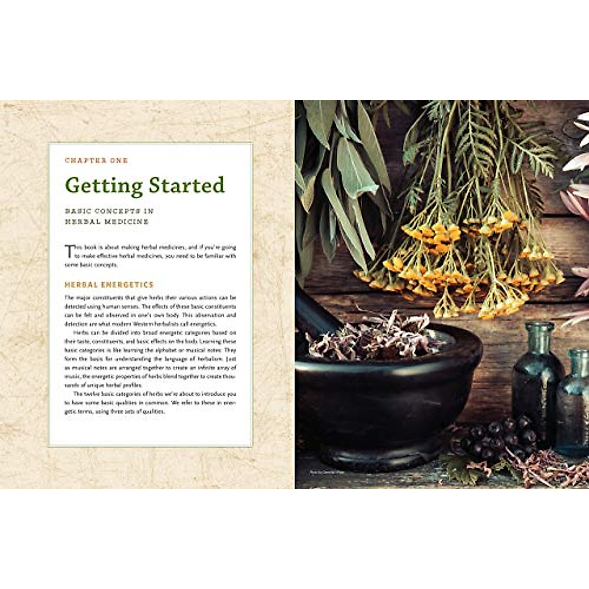 The Modern Herbal Dispensatory: A Medicine-Making Guide