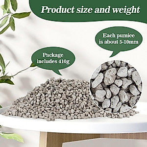 Sukh Horticultural Pumice Stone - Pumice Stone for Plants Succulent Cactus Bonsai Orchid Soil Amendment 410g